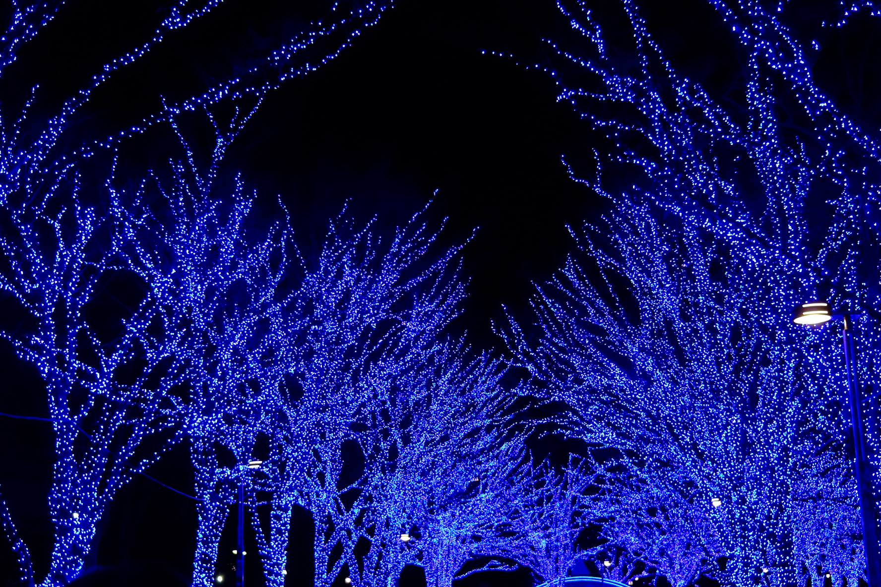 青の洞窟 SHIBUYA